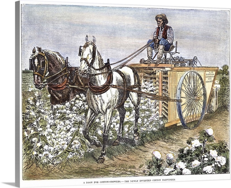 Cotton Harvester, 1886 | Great Big Canvas
