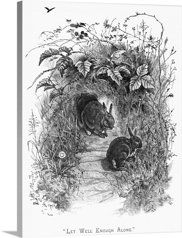 Rabbits | Great Big Canvas