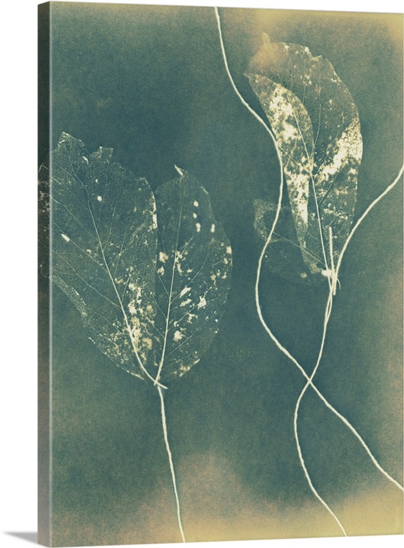 Ghost Leaves | Great Big Canvas