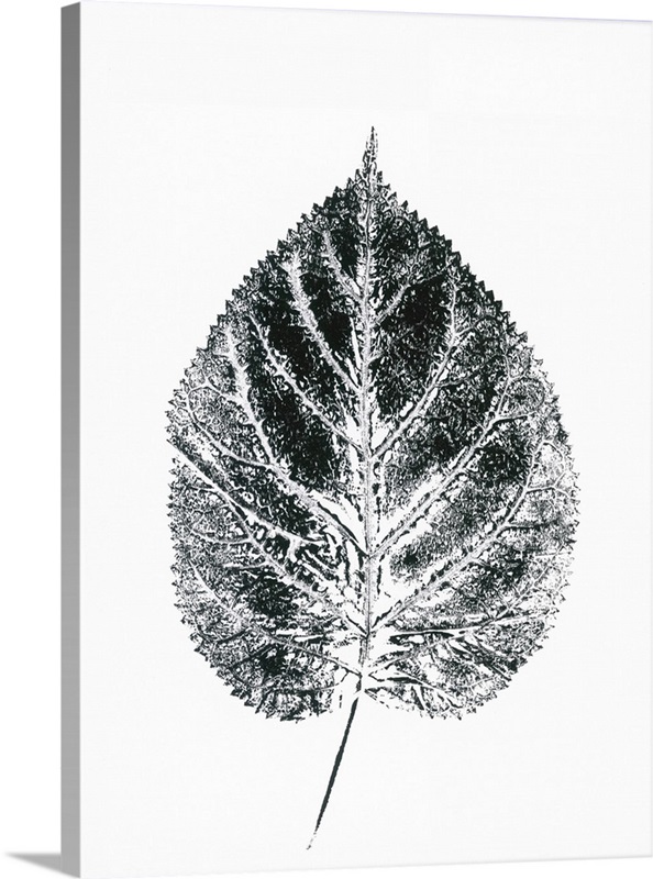 Single Leaf III | Great Big Canvas