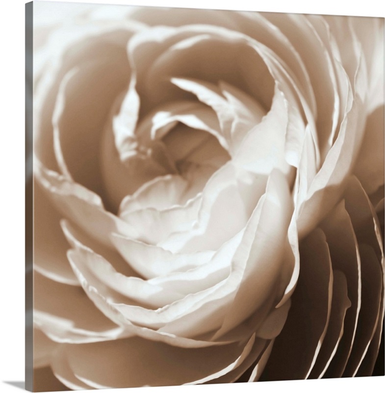 Soft Edges | Great Big Canvas