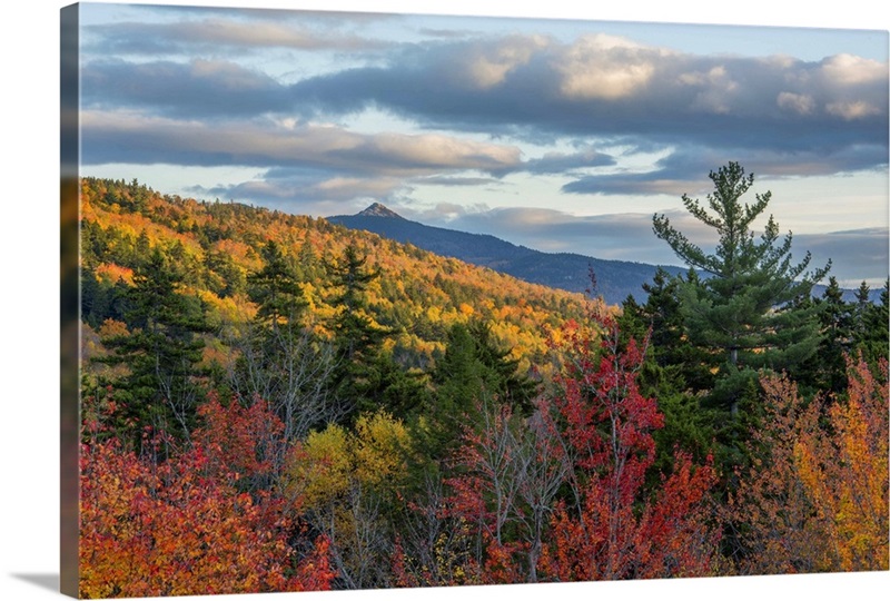 Bear Notch Road | Great Big Canvas