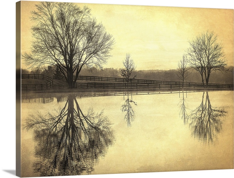 Williams Pond | Great Big Canvas