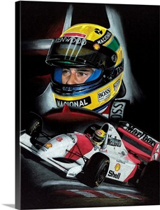 Senna Wall Art, Canvas Prints, Framed Prints, Wall Peels | Great Big Canvas