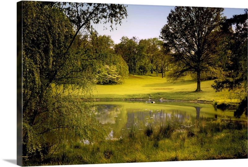 A peaceful rural scene with trees lake, green grass and blue sky ...
