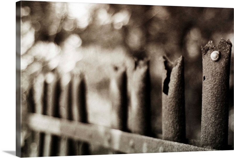 An old rusty fence | Great Big Canvas