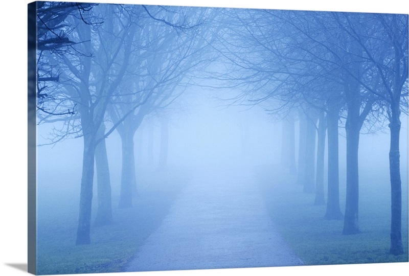Blue fog | Great Big Canvas