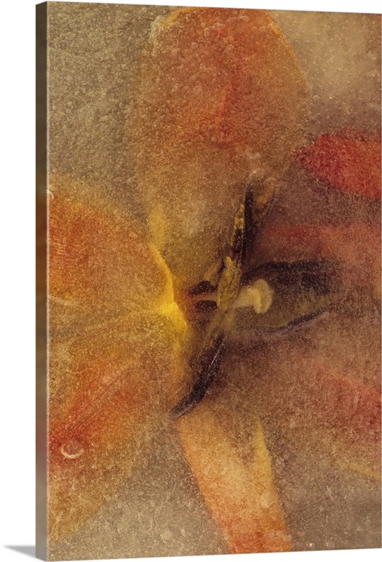 Cold Spring | Great Big Canvas