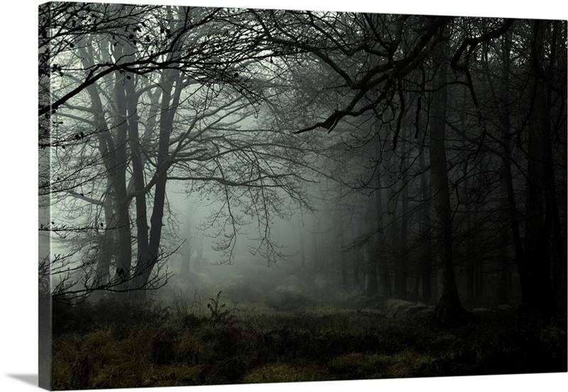 Misty dawn in the New Forest, Hampshire, England | Great Big Canvas