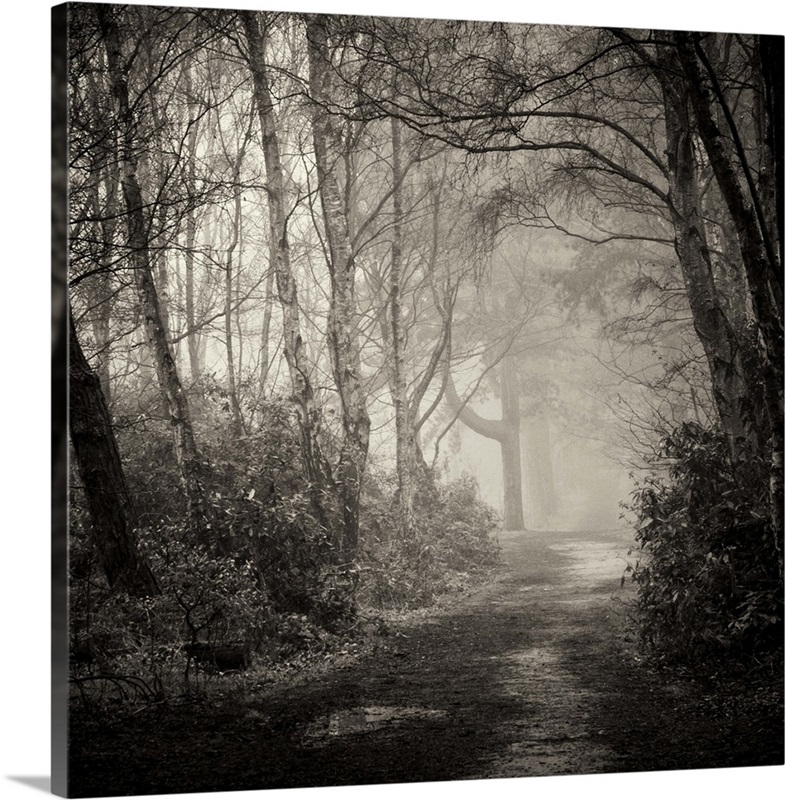 Path through forest with mist | Great Big Canvas