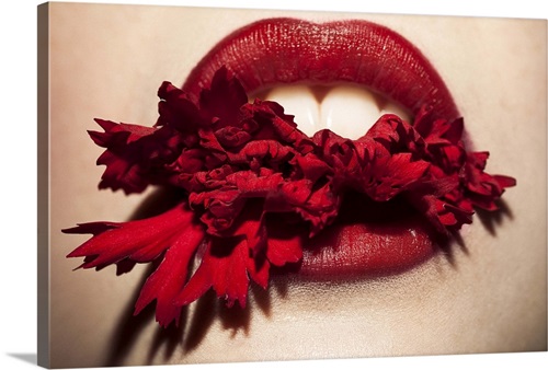 Rouge | Great Big Canvas