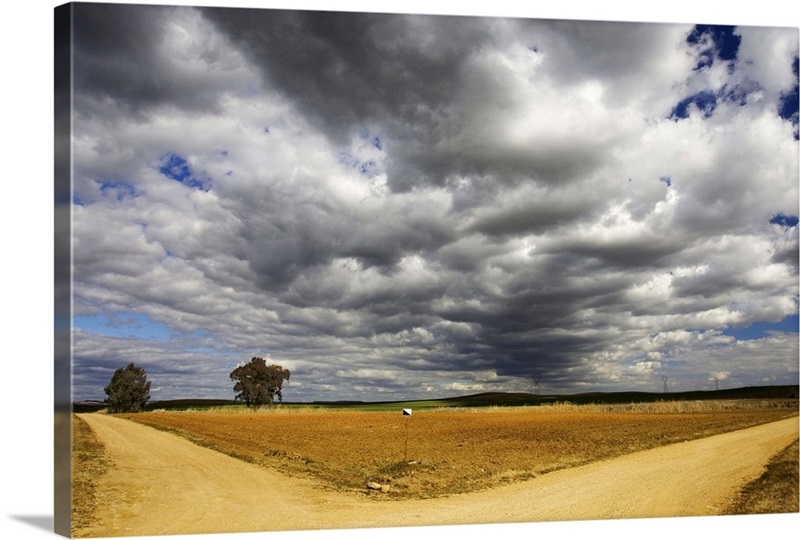 Split path | Great Big Canvas