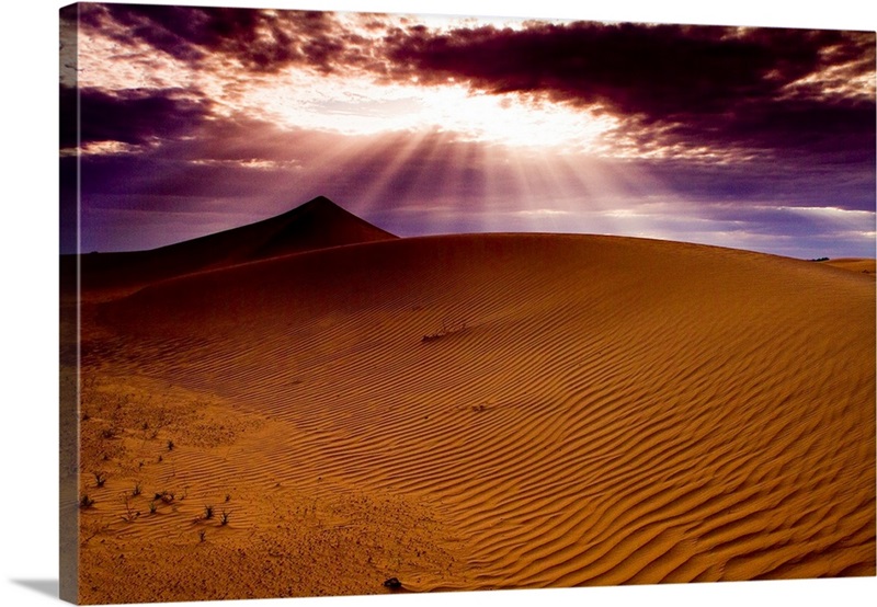 Sunlight shining on sand dunes | Great Big Canvas