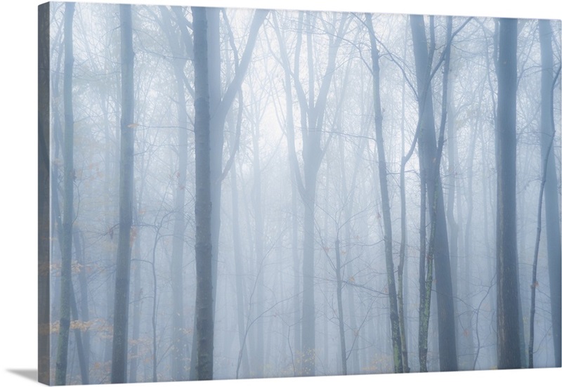 The Blue Mist | Great Big Canvas