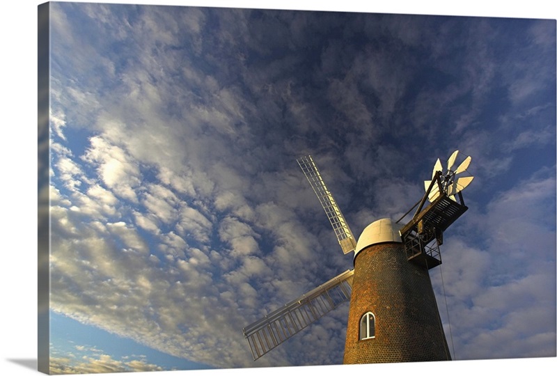 Windy Miller | Great Big Canvas