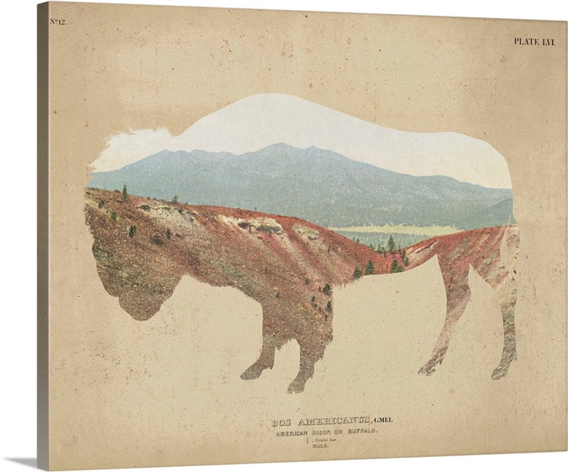 American Southwest Buffalo Distressed | Great Big Canvas