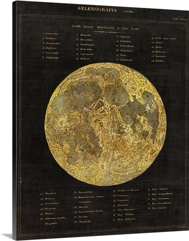 Astronomical Chart I | Great Big Canvas