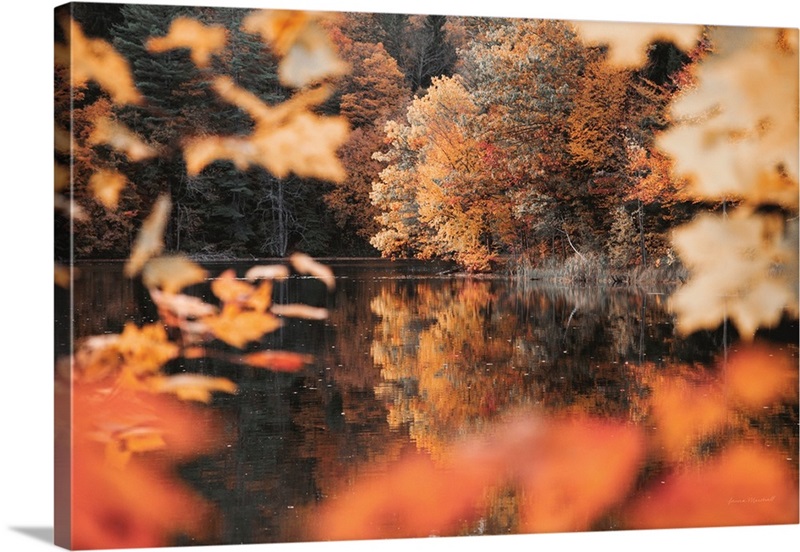 Autumn Reflections | Great Big Canvas