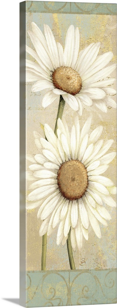 Beautiful Daisies I Wall Art, Canvas Prints, Framed Prints, Wall Peels ...