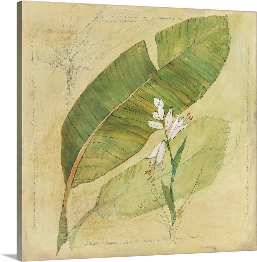 Botanical Study I Wall Art, Canvas Prints, Framed Prints, Wall Peels ...