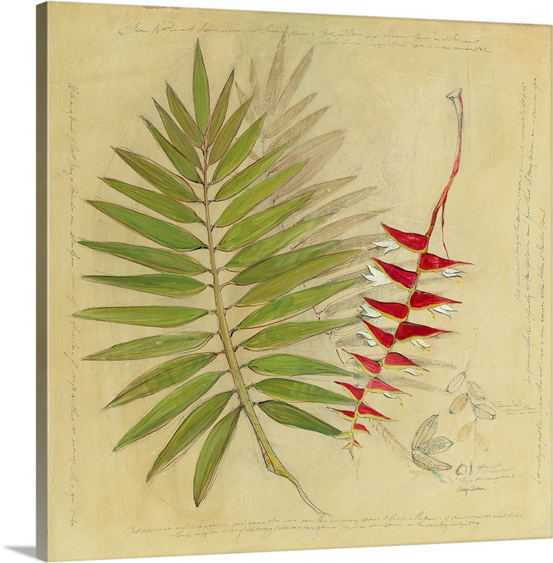 Botanical Study II | Great Big Canvas