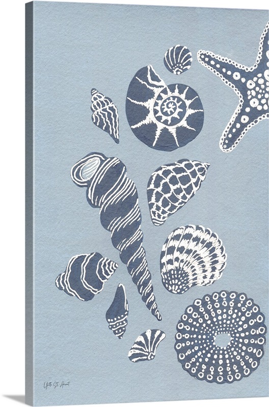 Coastal Shells I | Great Big Canvas