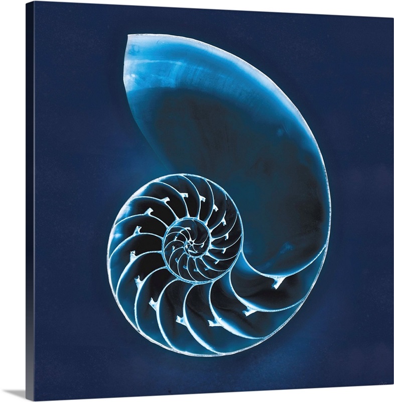 Cyanotype Sea II | Great Big Canvas
