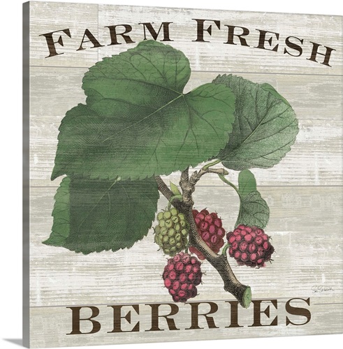 Farm Fresh Berries | Great Big Canvas