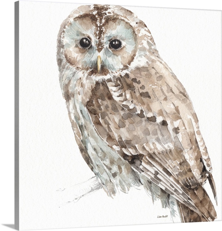 Forest Friends III | Great Big Canvas