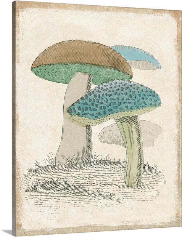 Funghi Italiani Mushrooms Wall Art, Canvas Prints, Framed Prints, Wall ...