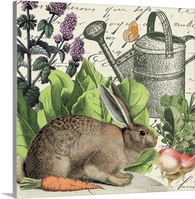 Garden Rabbit I | Great Big Canvas
