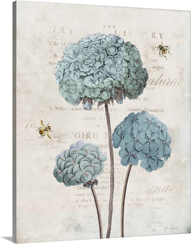 Geranium Study I | Great Big Canvas