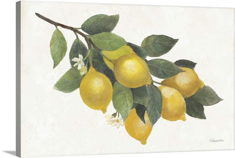 Lemon Branch I | Great Big Canvas