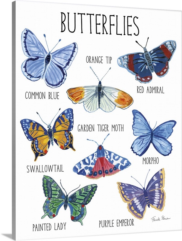 Nature Chart II | Great Big Canvas