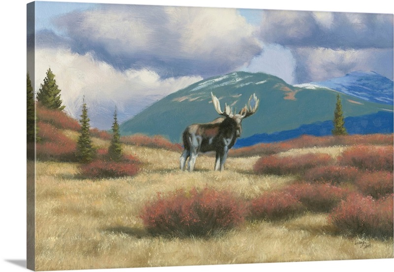 Northern Moose | Great Big Canvas