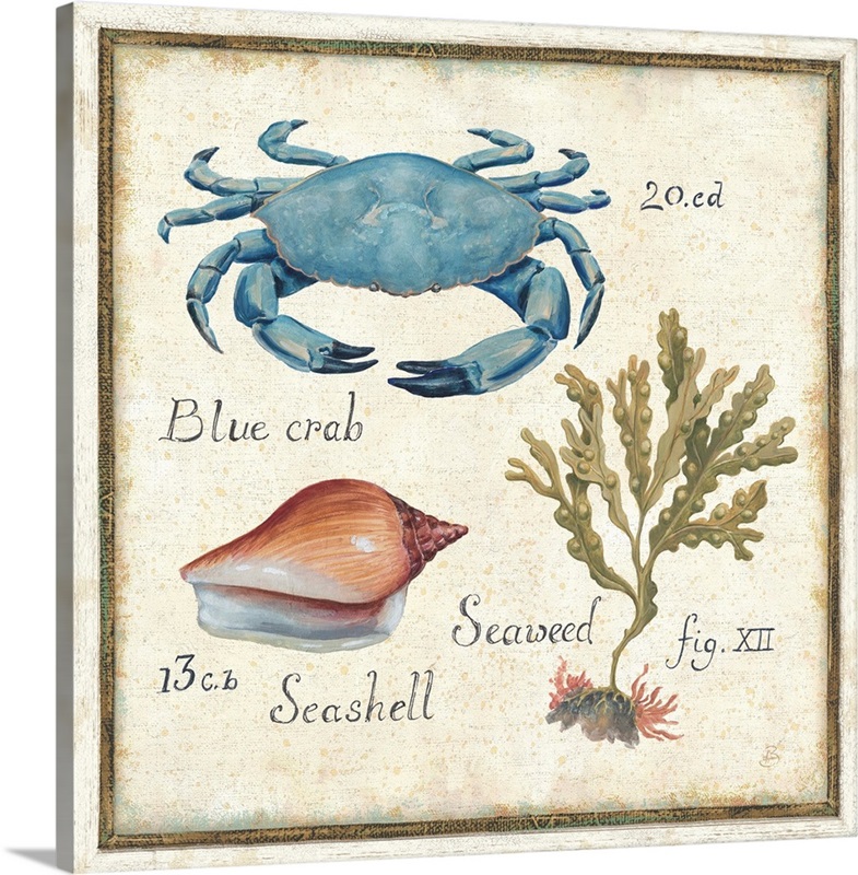 Oceanography IV | Great Big Canvas