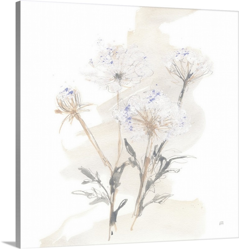 Queen Annes Lace II | Great Big Canvas