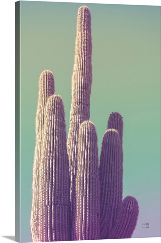 Saguaro Green Pastel | Great Big Canvas