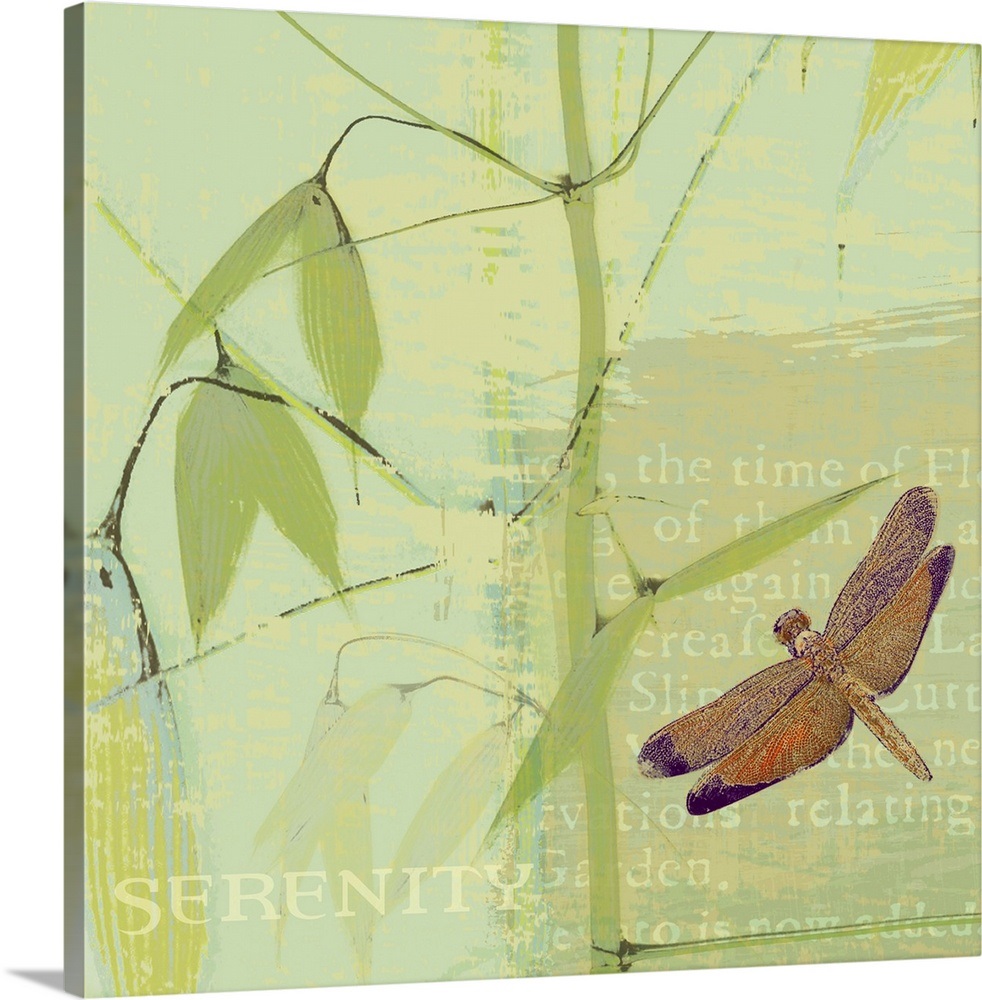 Serenity Wall Art, Canvas Prints, Framed Prints, Wall Peels | Great Big ...