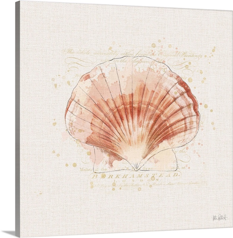 Shell Collector IV | Great Big Canvas