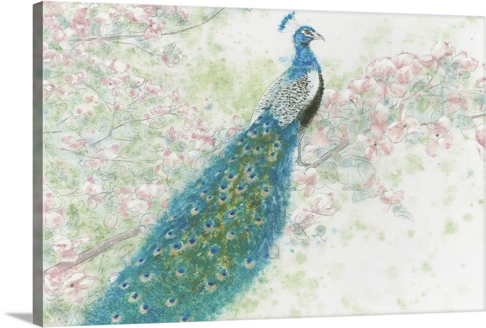 Spring Peacock I Pink Flowers Wall Art, Canvas Prints, Framed Prints ...