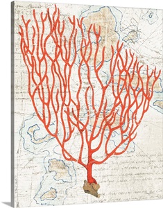 Textured Coral IV Wall Art, Canvas Prints, Framed Prints, Wall Peels ...