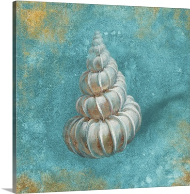 Shells Wall Art & Canvas Prints | Shells Panoramic Photos, Posters ...
