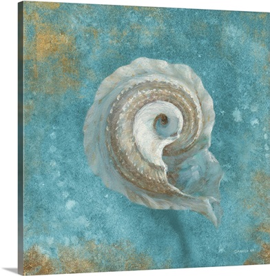 Shells Wall Art & Canvas Prints | Shells Panoramic Photos, Posters ...