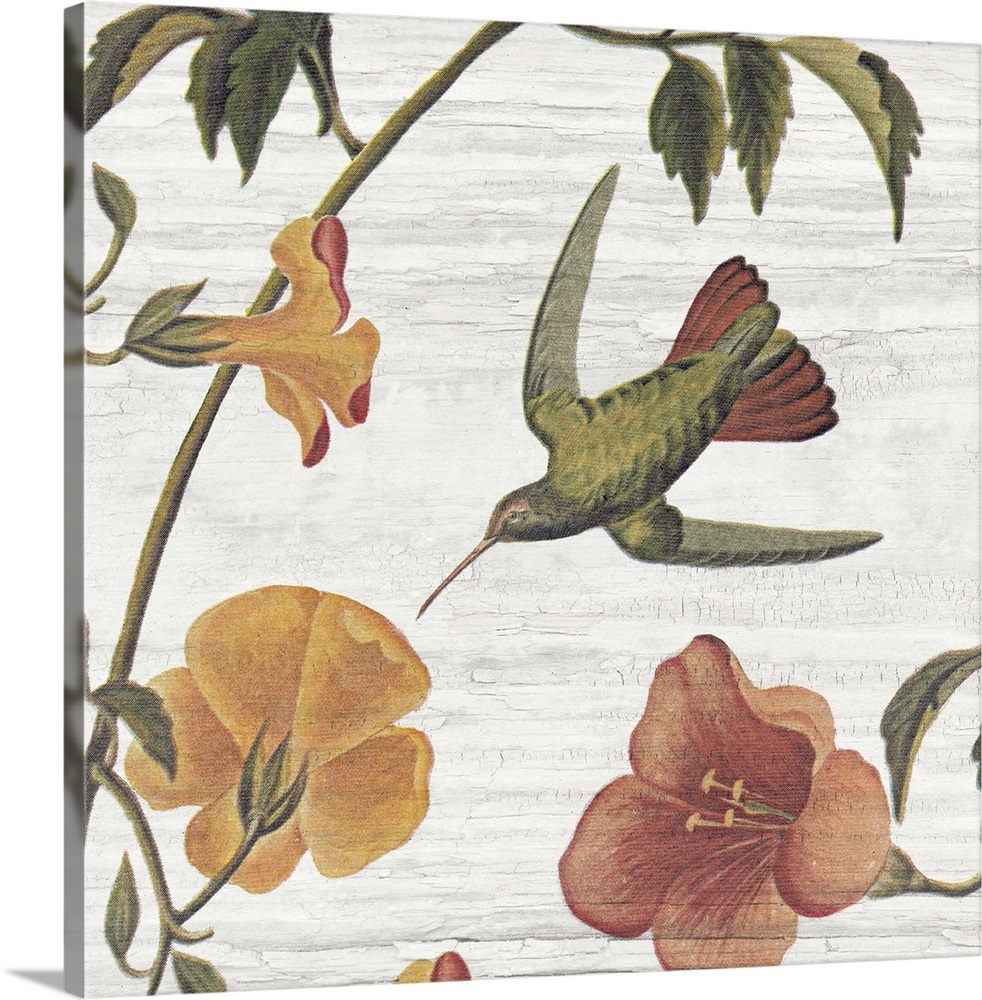 Vintage Hummingbird I Wall Art, Canvas Prints, Framed Prints, Wall ...