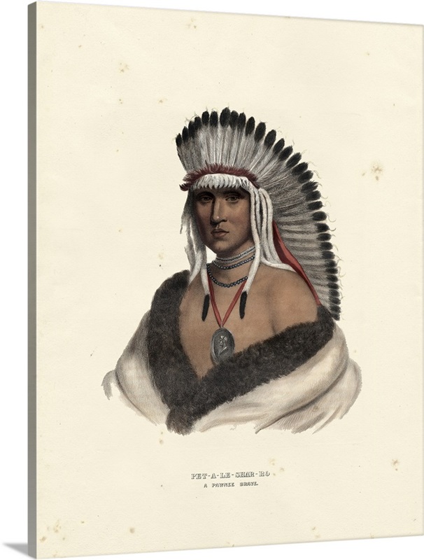 A Pawnee Brave | Great Big Canvas