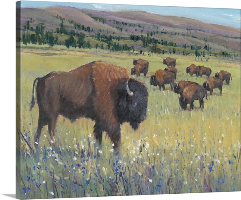 Animals of the West I | Great Big Canvas