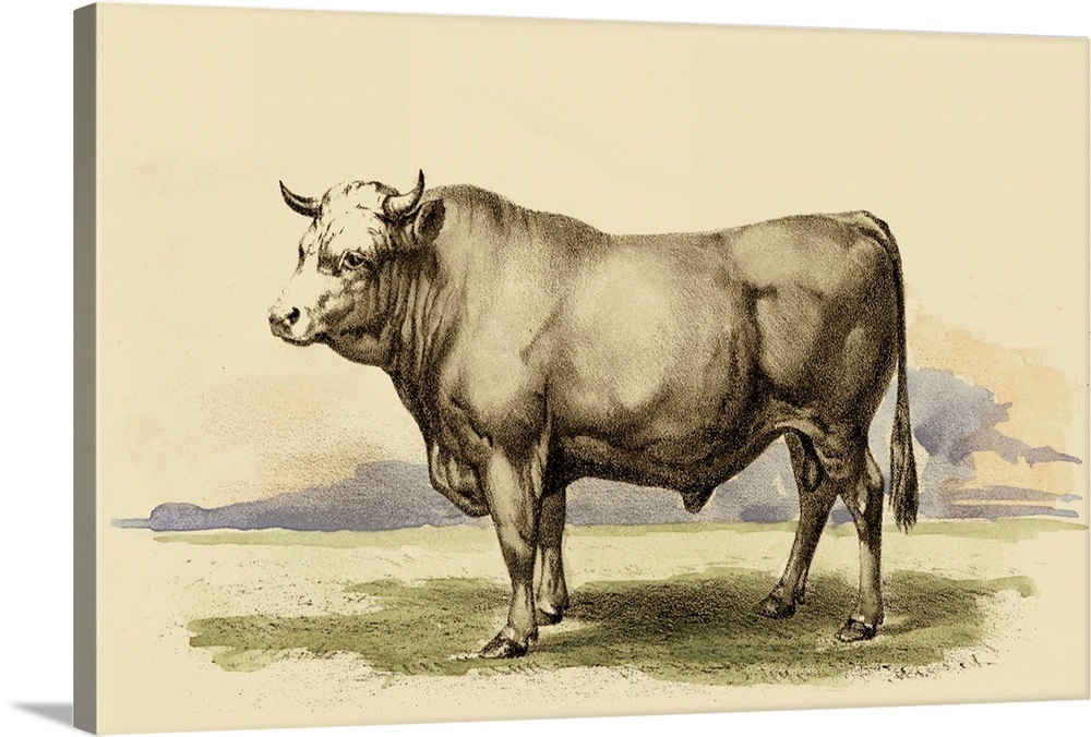 Antique Cow I Wall Art, Canvas Prints, Framed Prints, Wall Peels ...