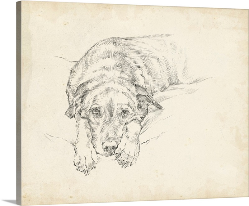 Antique Dog Sketch IV | Great Big Canvas