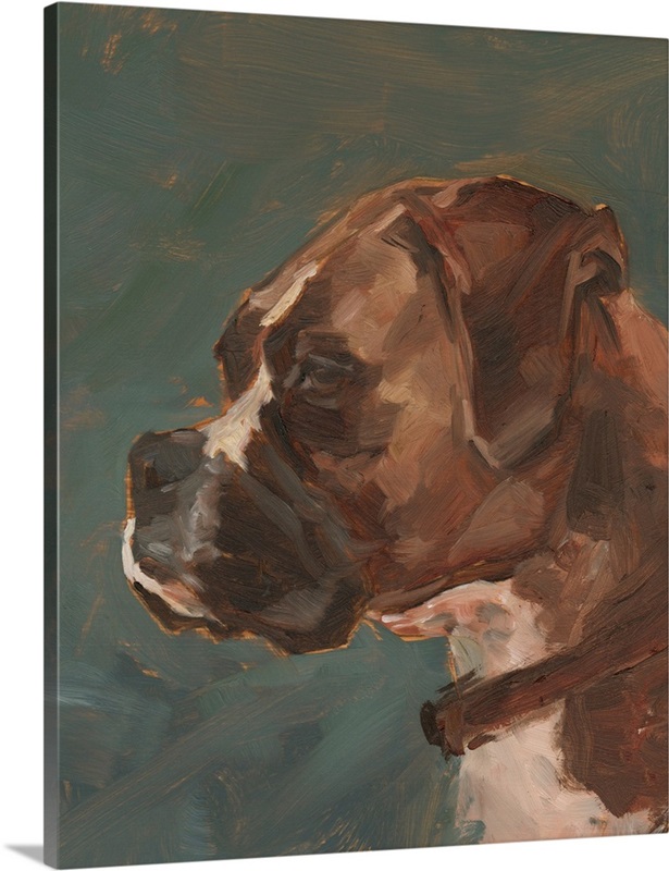 Antique Dog Study II | Great Big Canvas